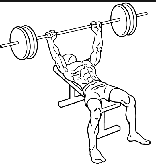 Best Chest Exercises For Men | Mobile Trainers