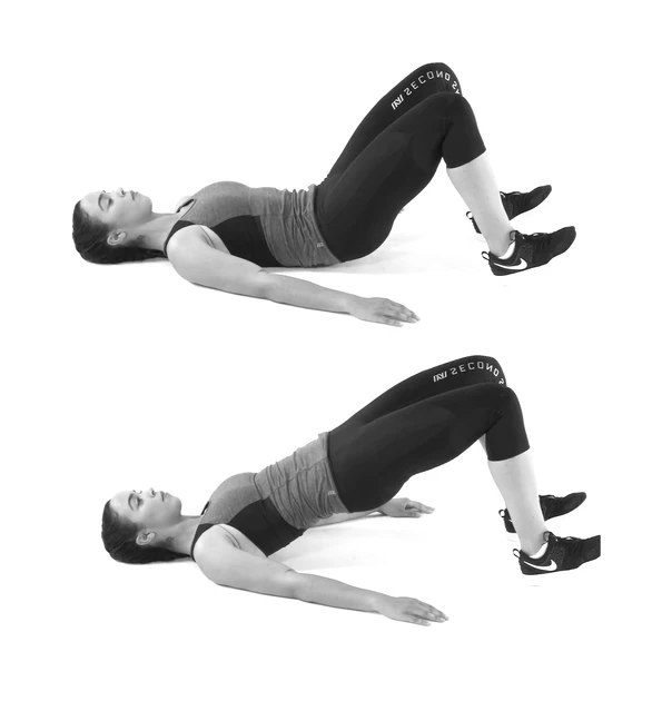 does bridge exercise reduce belly fat